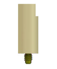 Scan Flags | Southern Implants