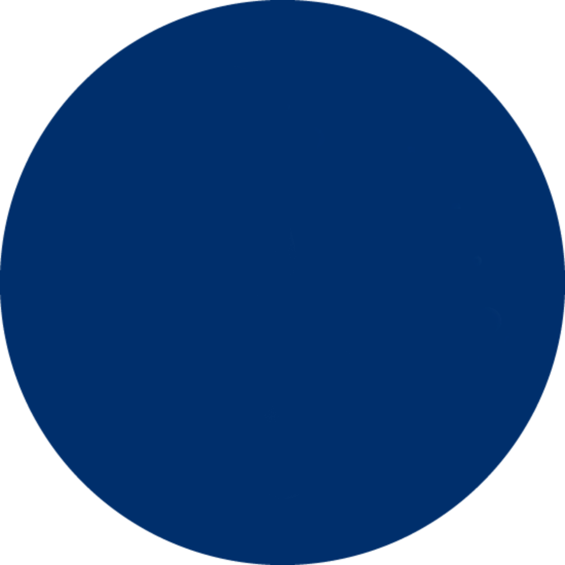 TOP Abutment | Southern Implants